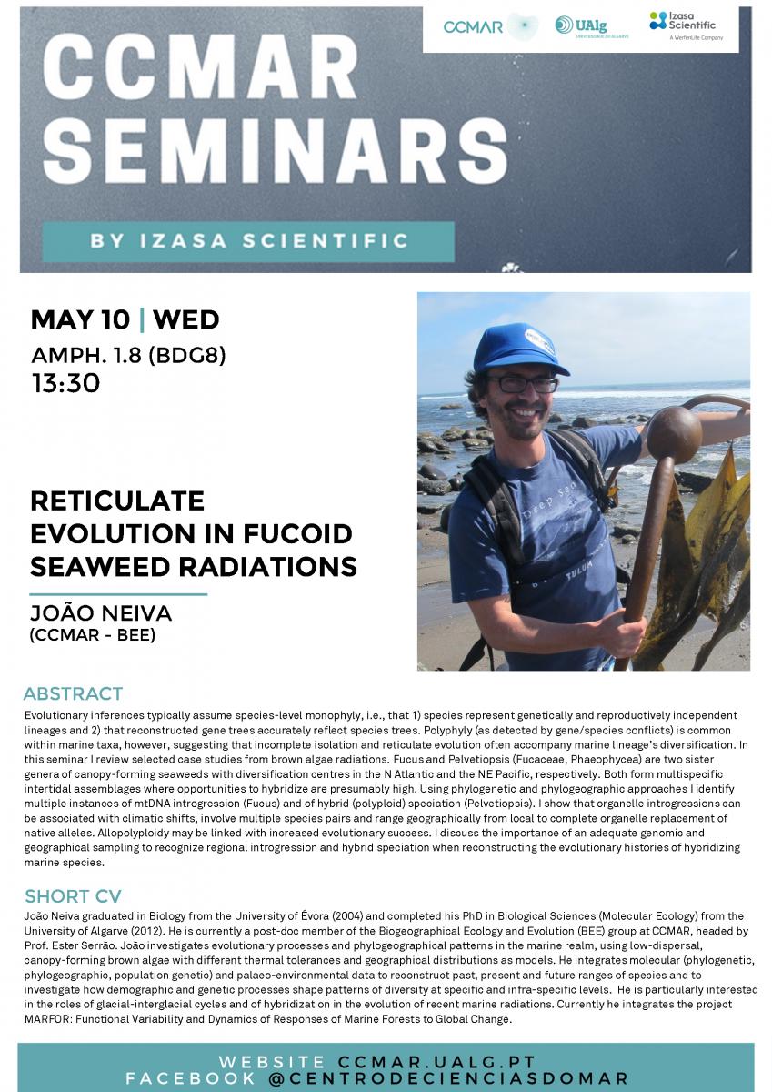Reticulate evolution in fucoid seaweed radiations | CCMAR