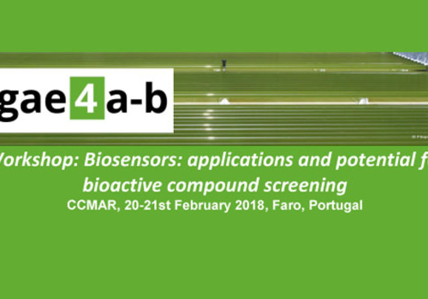 Biosensors: applications and potential for Bioactive compounds ...