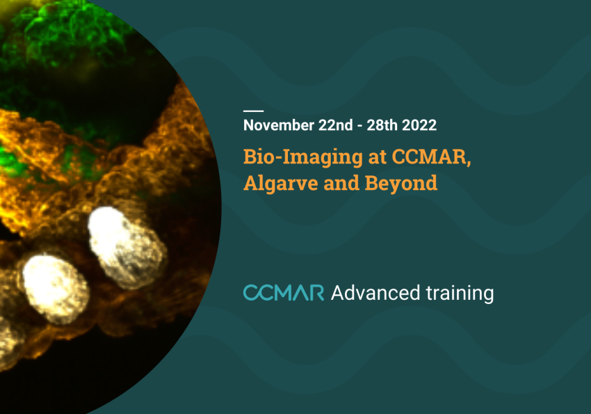 Bio-Imaging at CCMAR, Algarve and Beyond | CCMAR