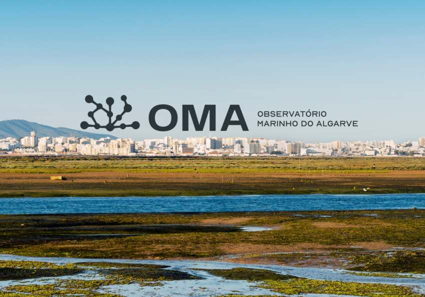 Apresentação Pública do Observatório Marinho do Algarve | CCMAR